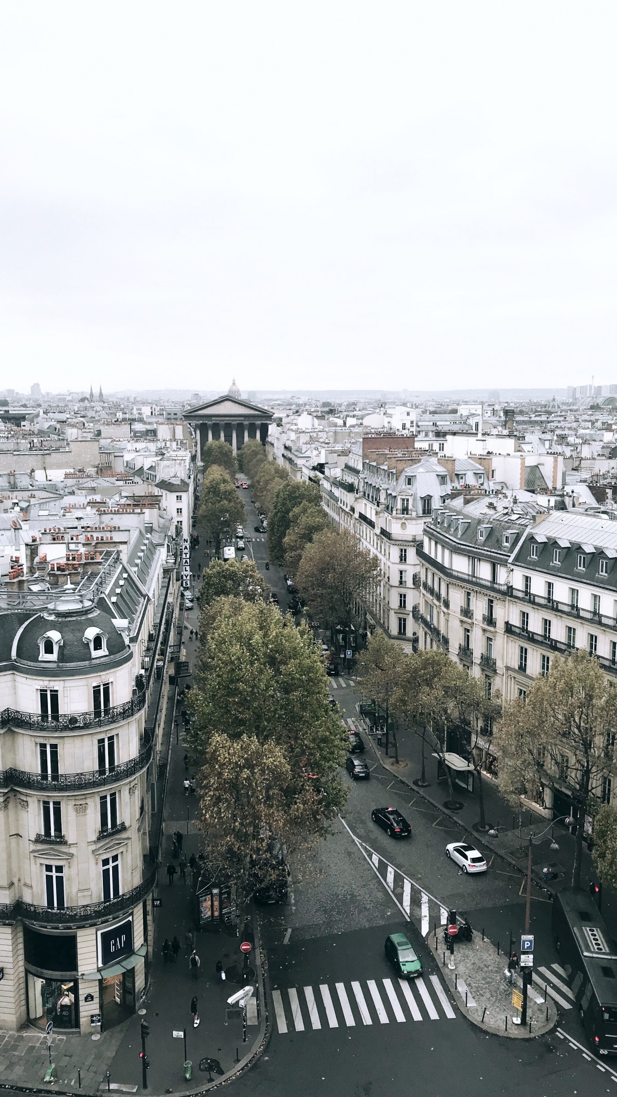 Oui ou Non? My Guide to Paris - Haley's Life in Color