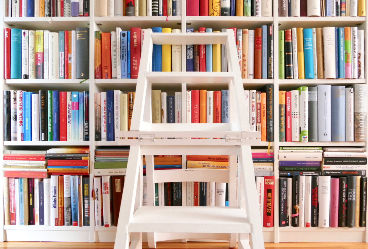 A Year in Books: My 2024 Reads - Haley's Life in Color